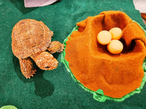 DIY Small World Play Mat - Play Learn Inspire