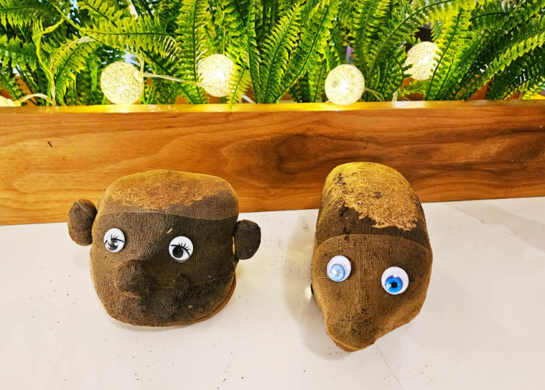 How to Make Grass Head Plants - Play Learn Inspire