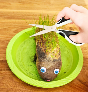 How to Make Grass Head Plants - Play Learn Inspire