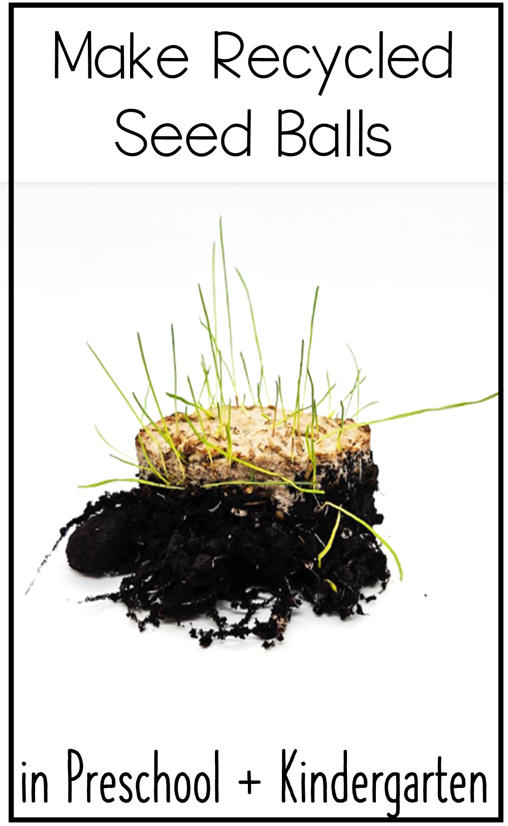 How to Make Seed Bombs from Recycled Paper