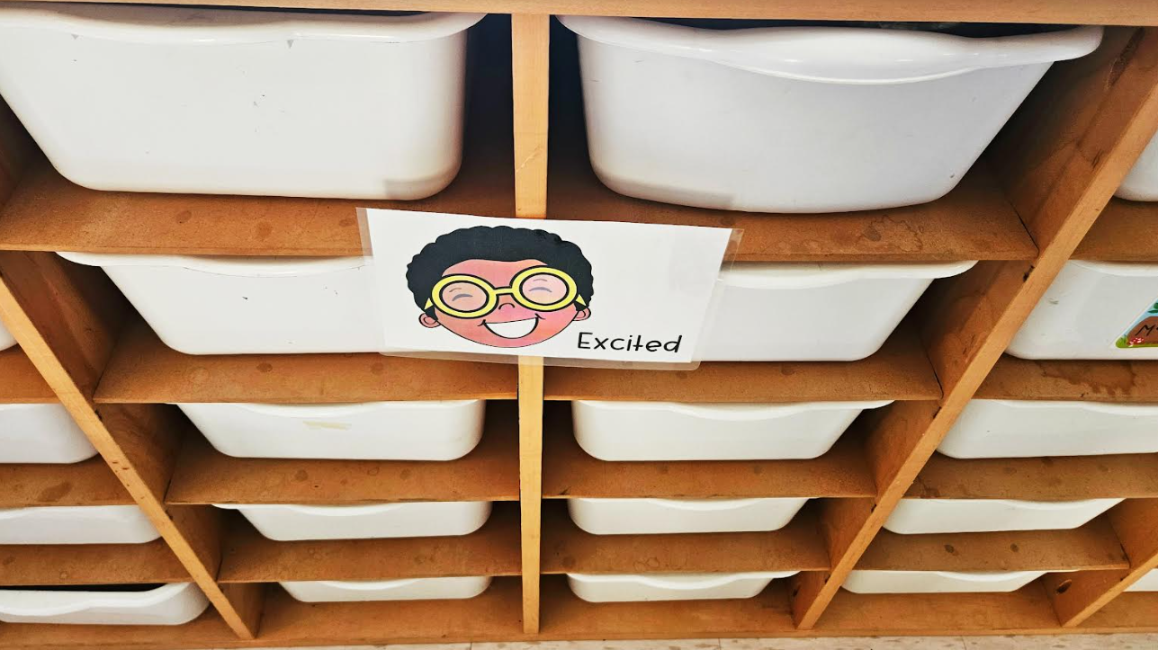 Social Emotional Learning Activity (Free Resource) (Free Printable)