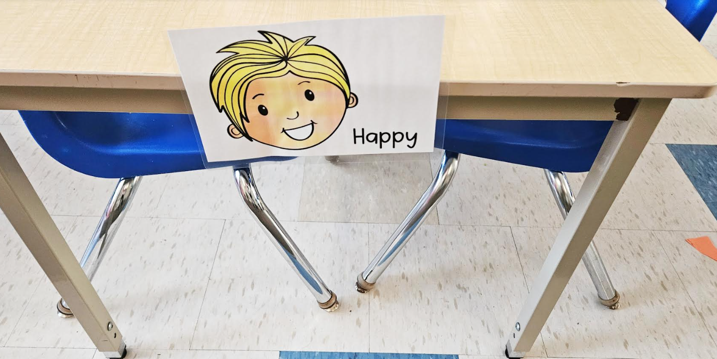 Social Emotional Learning Activity (Free Resource) (Free Printable)