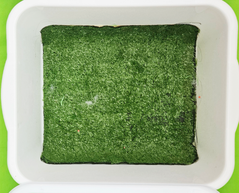 Best Spring Sensory Walk - Play Learn Inspire